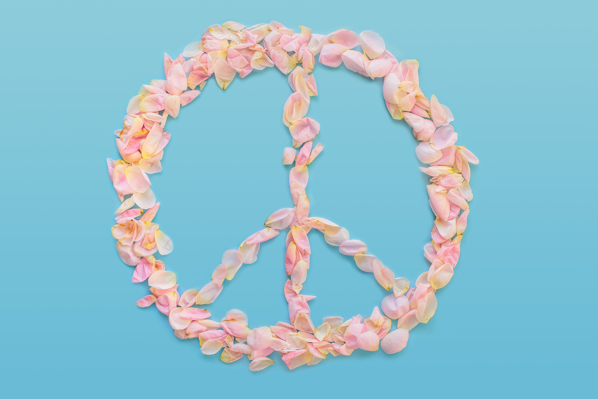 Actividades por el Día Internacional de la Paz